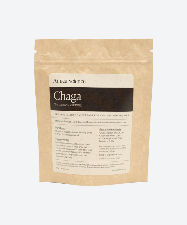 Organic Fruiting Body Chaga Mushroom Extract For Cats & Dogs – Amica ...
